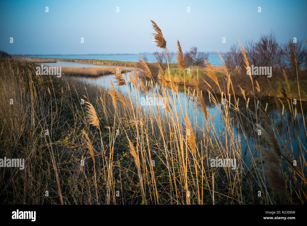 Delta du fleuve po parc national Banque de photographies et d’images à ...