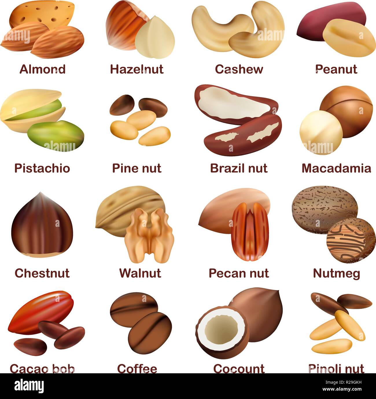 Types de pins Banque d'images vectorielles - Alamy