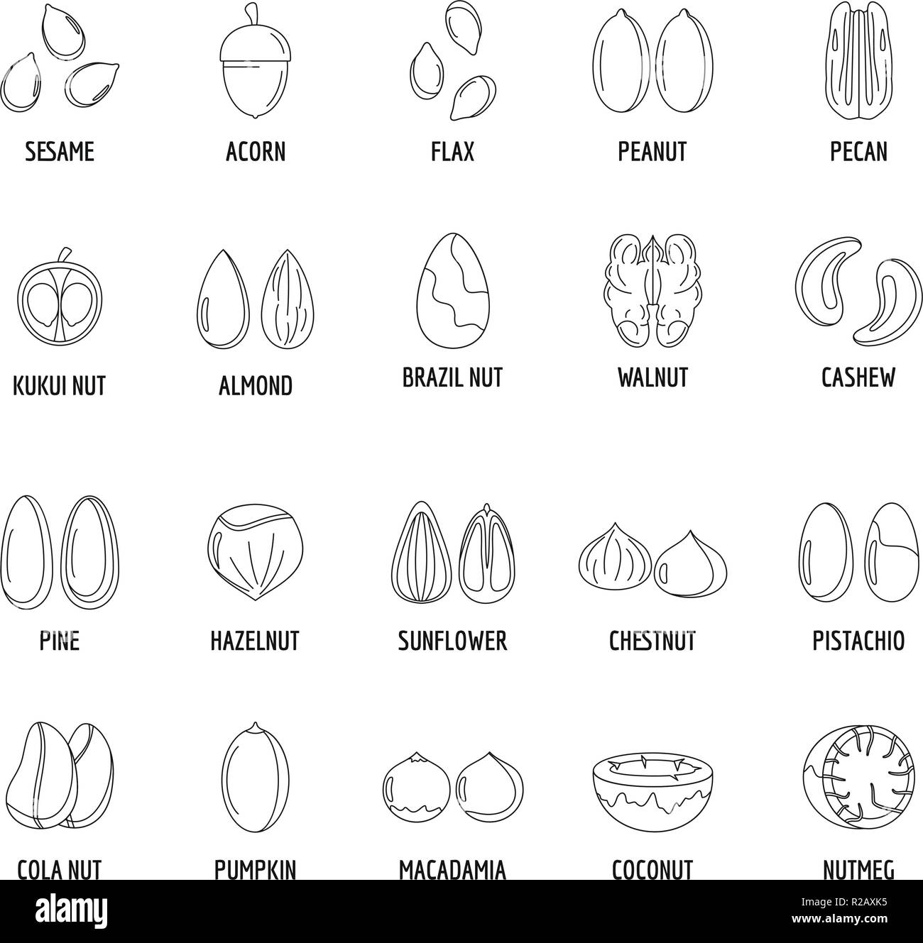 Types d'écrou signé ith nomme des icônes. Contours illustration de 20 ...