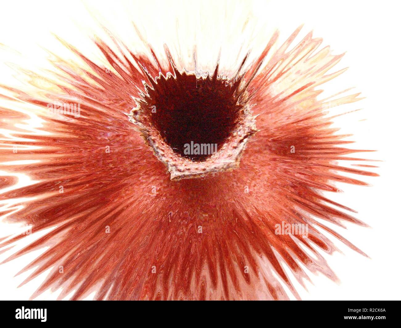 Fruit explosion grenade Banque de photographies et d’images à haute ...