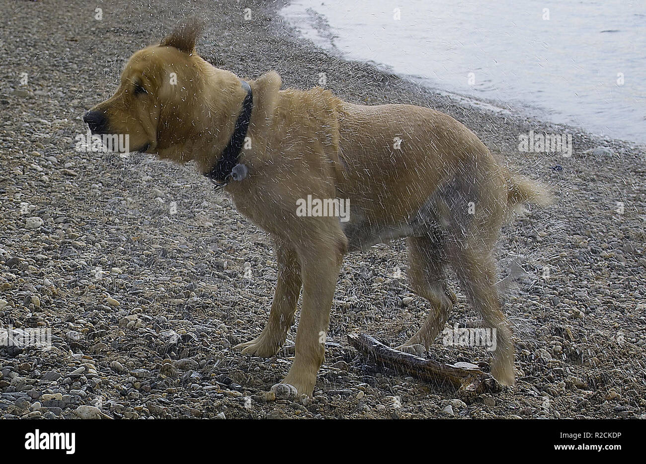 Agiter avant utilisation Banque de photographies et d’images à haute ...