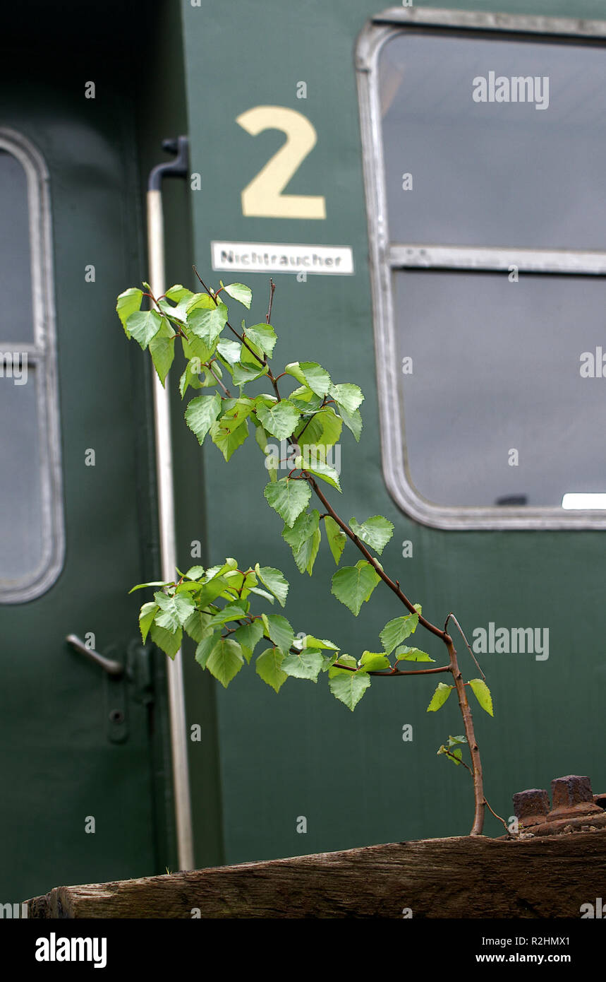 Compartiment de wagon Banque de photographies et d’images à haute ...