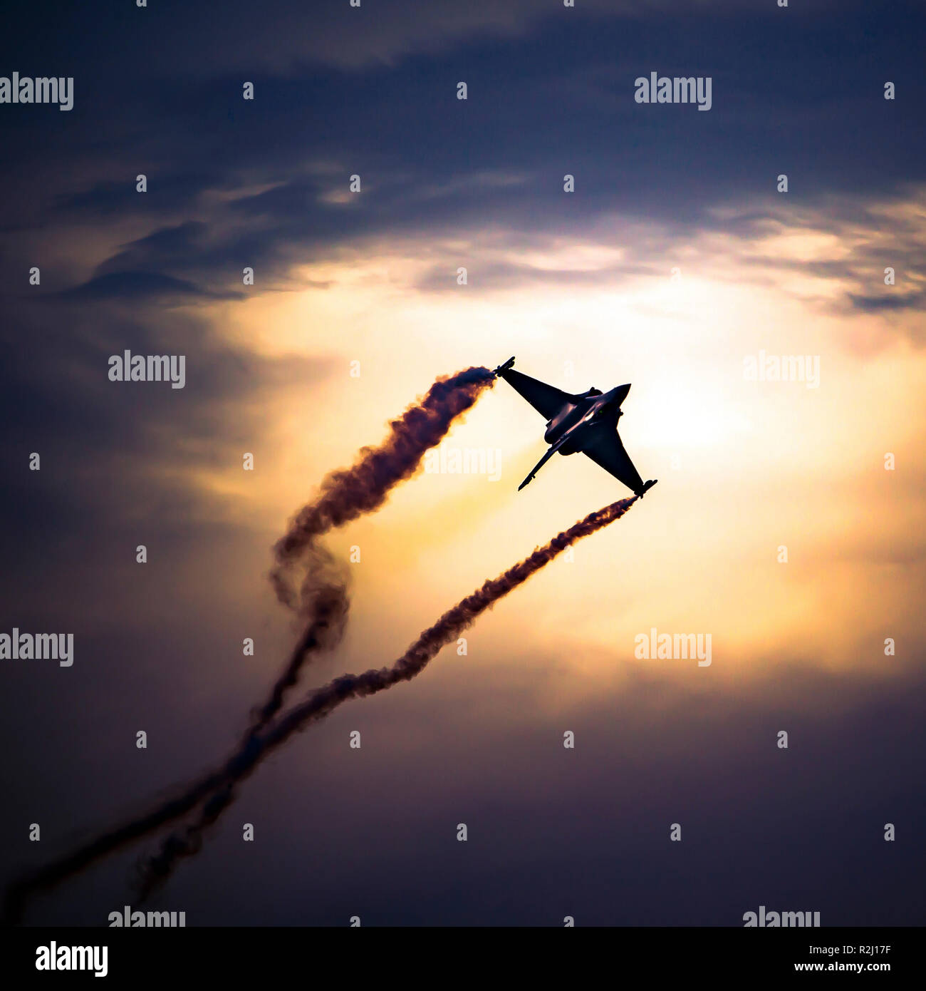 Dassault Rafale est un bimoteur français canard, aile delta, l'avion de ...