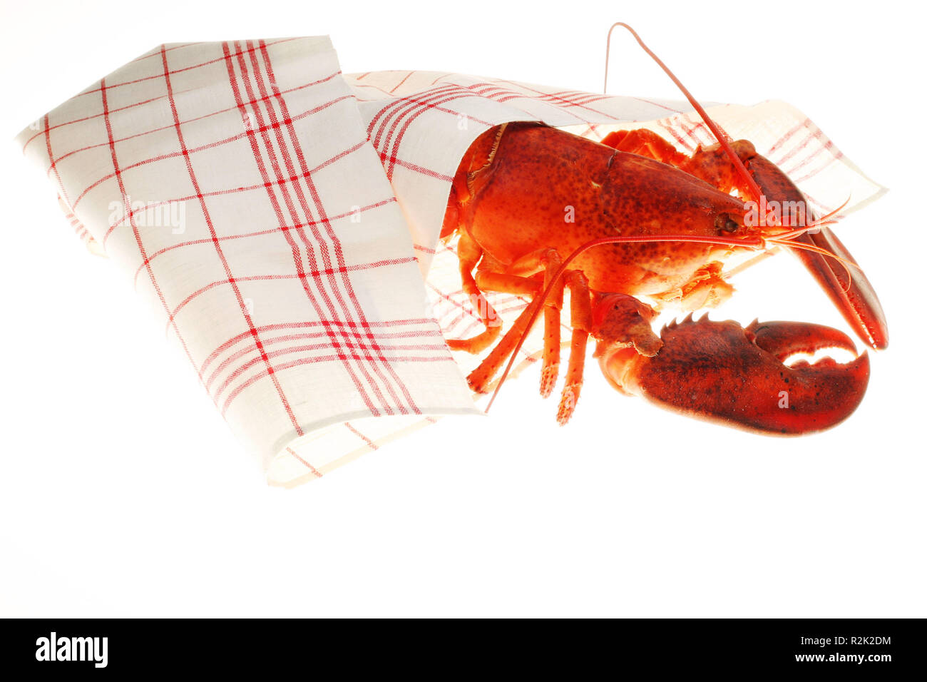 Souper au homard Banque d'images détourées - Alamy