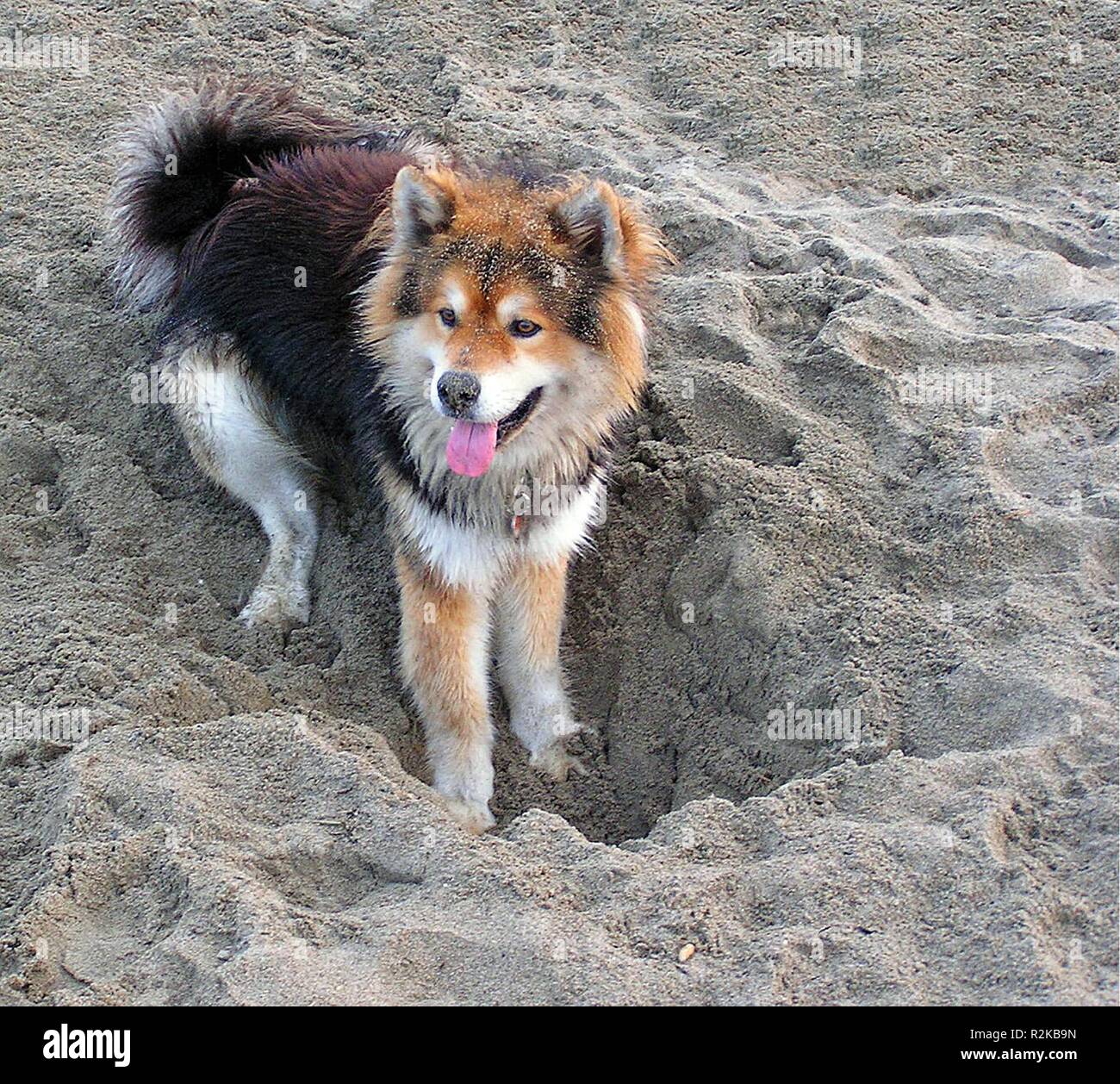 Dog hole cave Banque de photographies et d’images à haute résolution ...