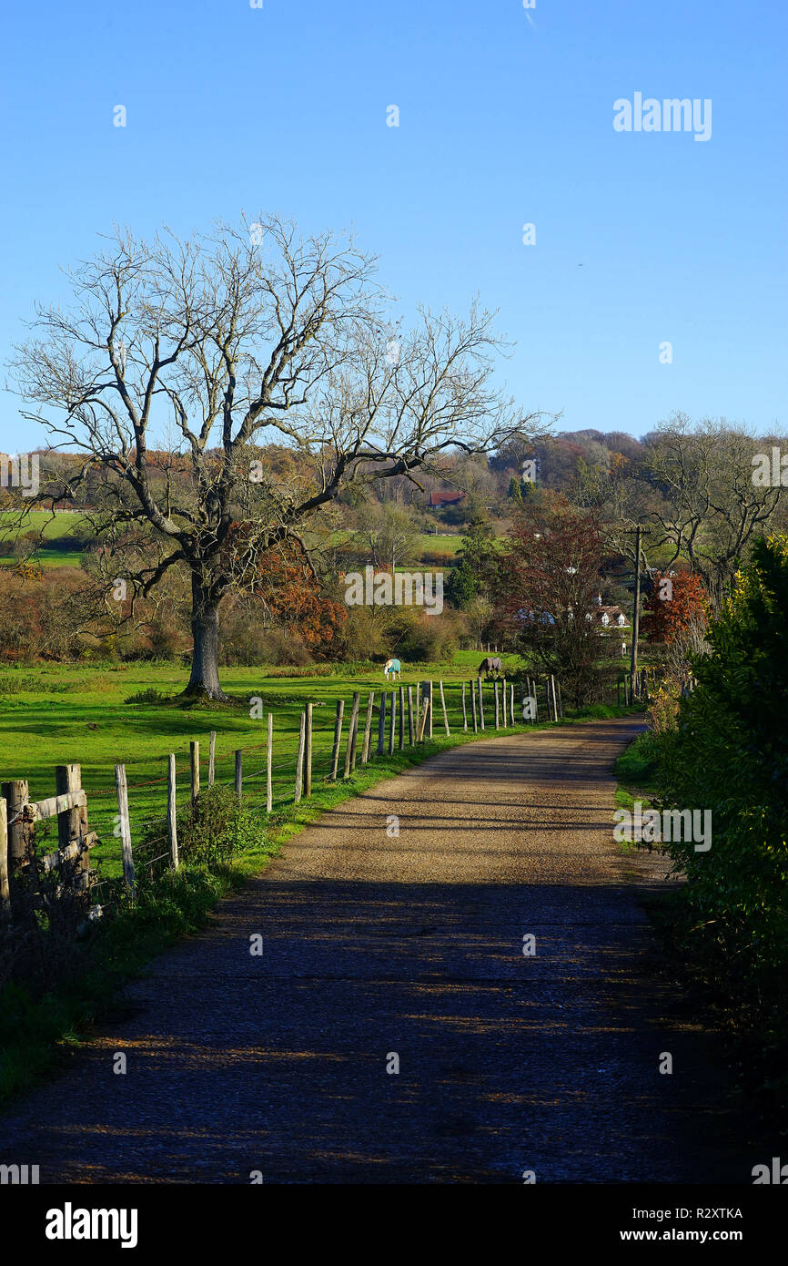 Moor lane Banque de photographies et d’images à haute résolution - Alamy