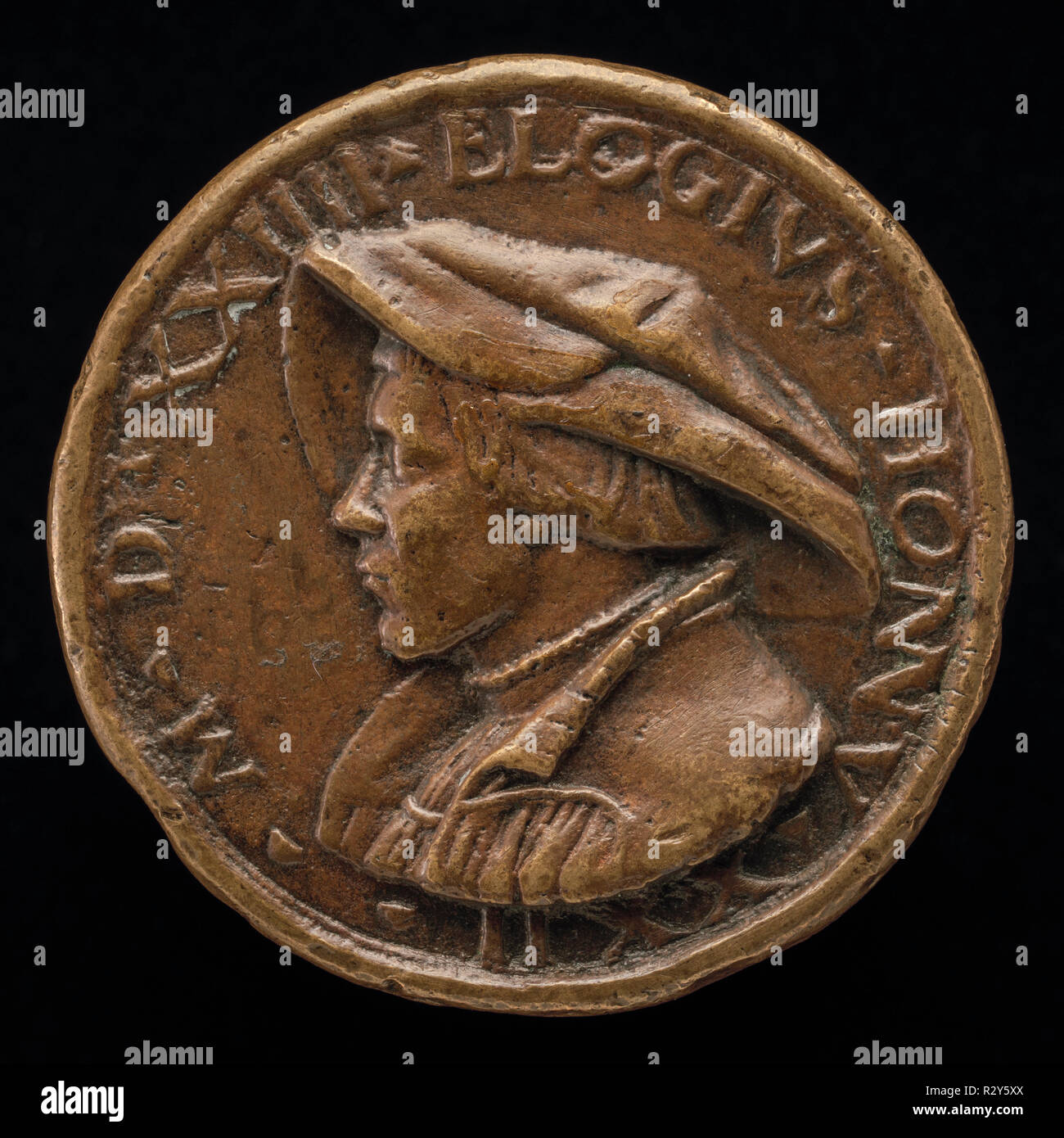 Elogius honnu Banque de photographies et d’images à haute résolution ...