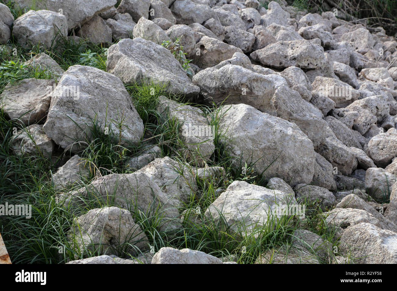 Bien petite oasis Banque de photographies et d’images à haute ...