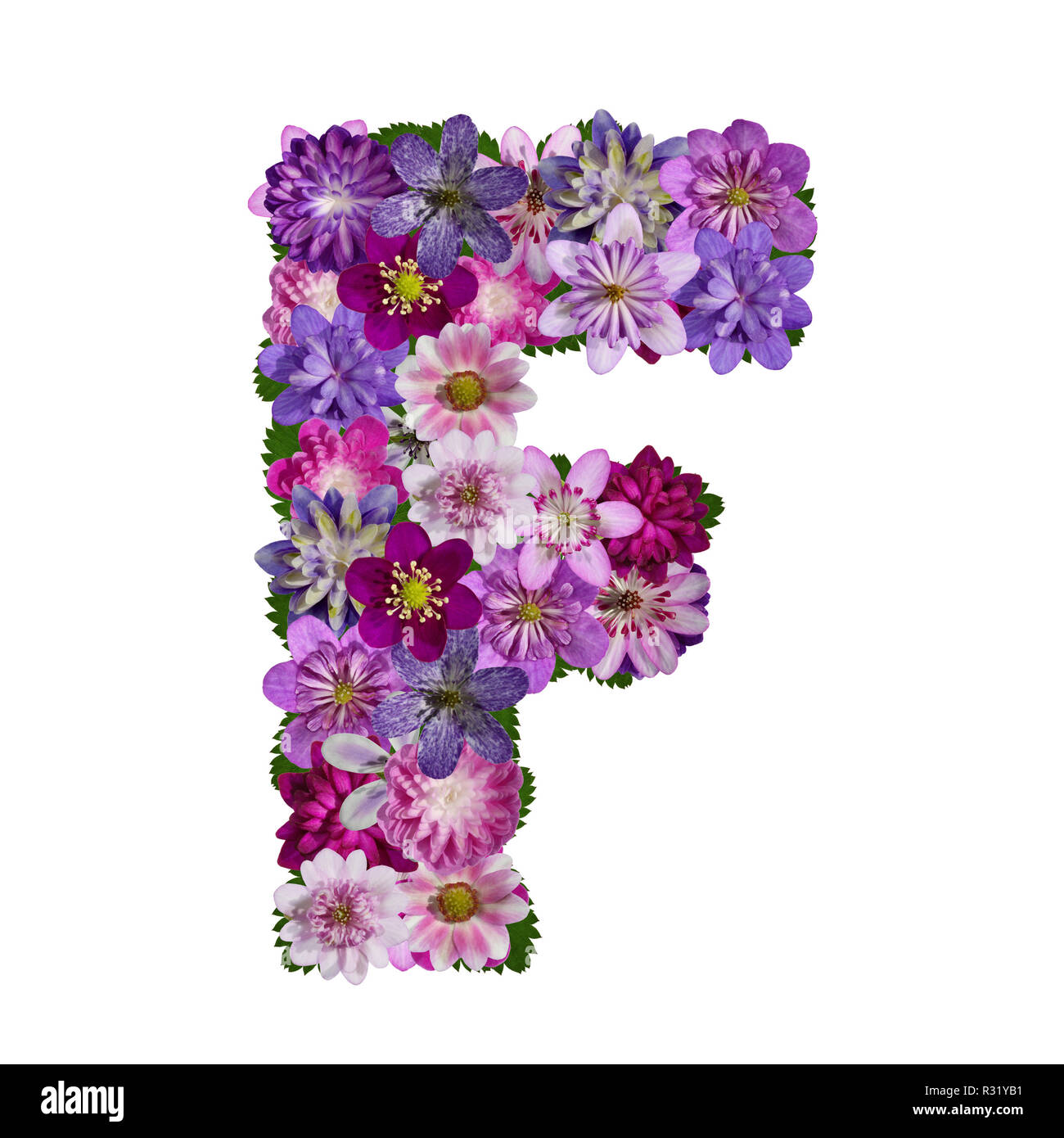Lettre alphabet fleurs f Photo Stock - Alamy