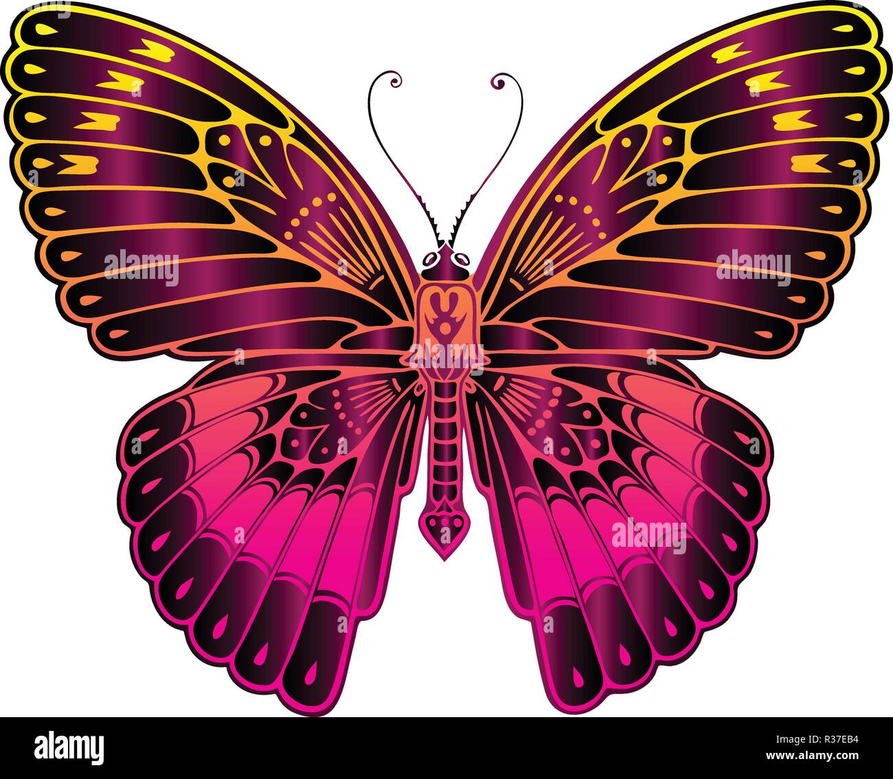 Papillon dessin Banque d'images vectorielles - Alamy