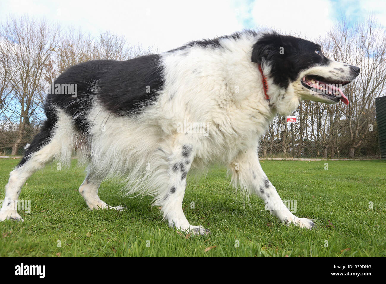 Rick rickard Banque de photographies et d’images à haute résolution - Alamy
