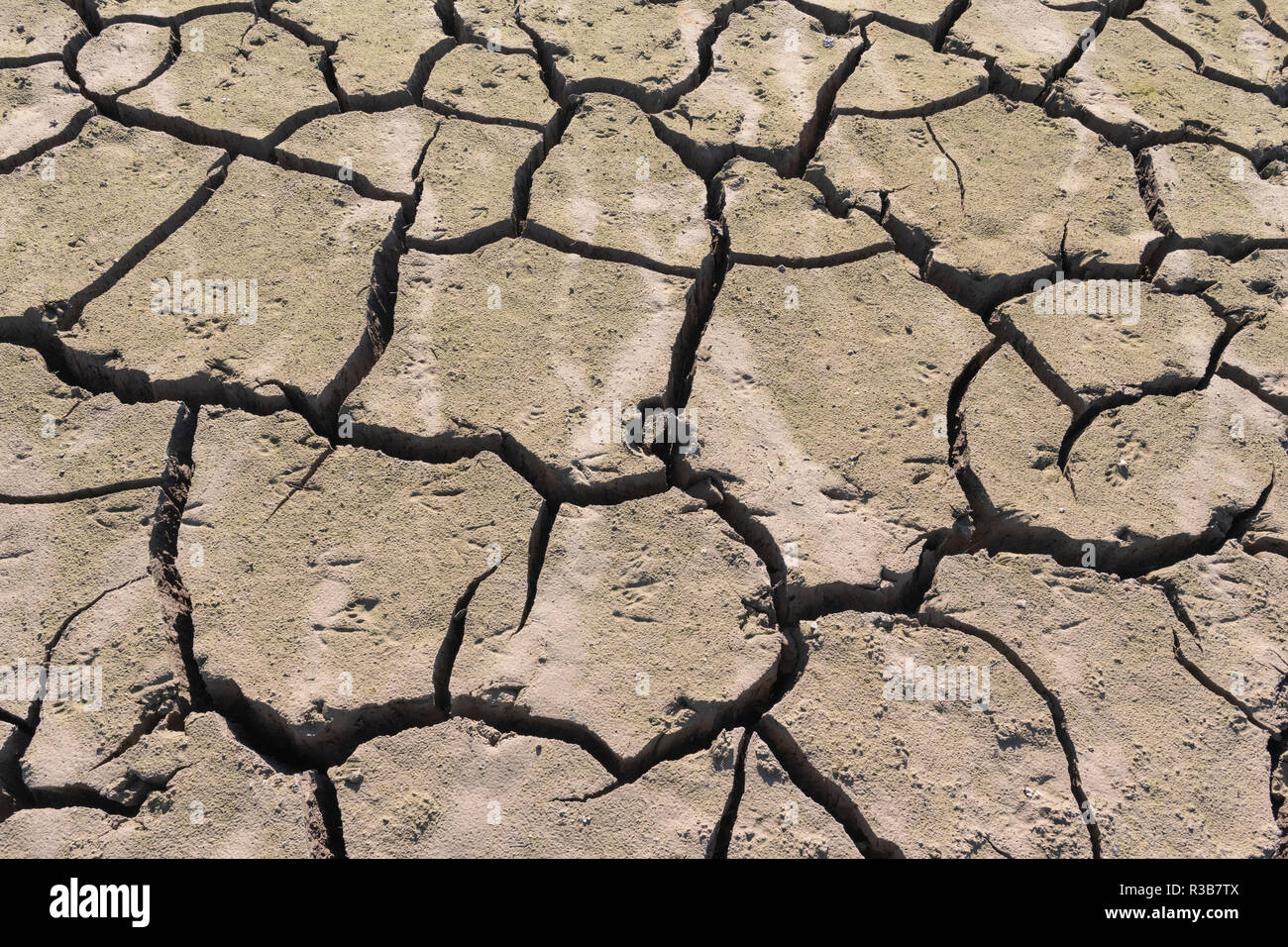 Fissures sol Banque de photographies et d’images à haute résolution - Alamy