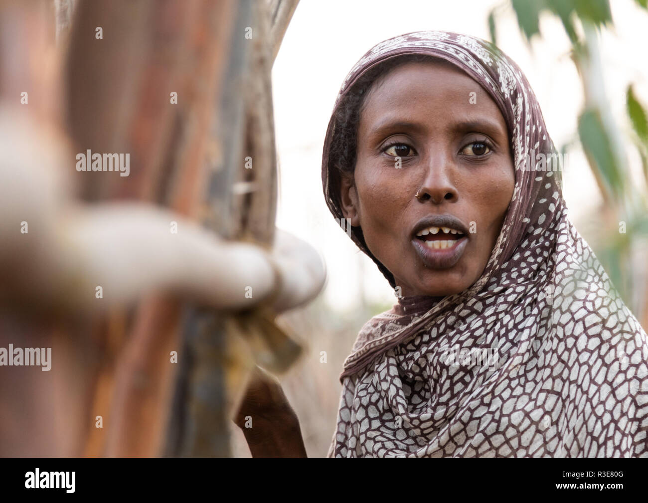 Head Portrait Afar Tribe Woman Banque De Photographies Et Dimages à