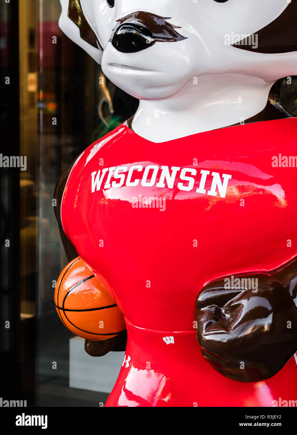 Bucky mascot Banque de photographies et d’images à haute résolution - Alamy