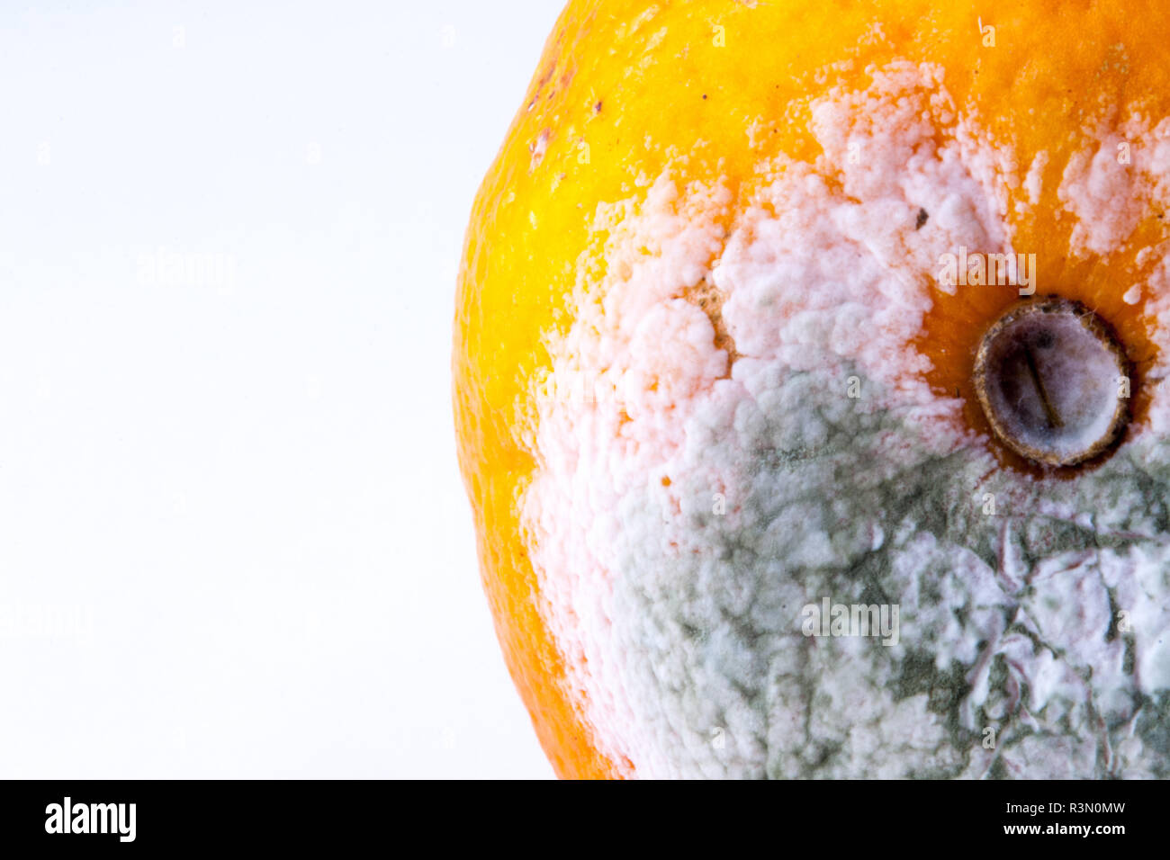 Orange Pourrie Banque d'image et photos - Alamy