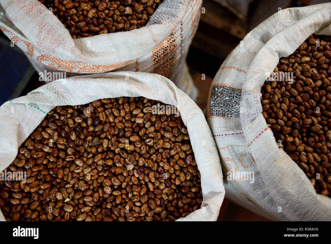Haricots Romano Banque d'image et photos - Alamy