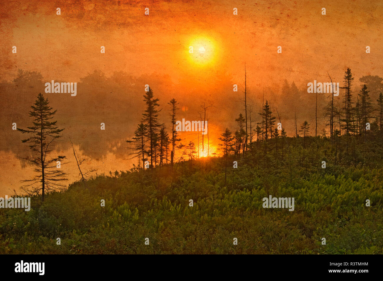 Paysages de zones humides Banque de photographies et d’images à haute ...