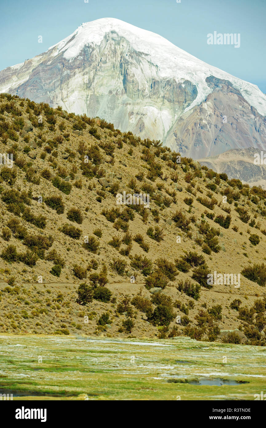 Parque nacional sajama Banque de photographies et d’images à haute ...