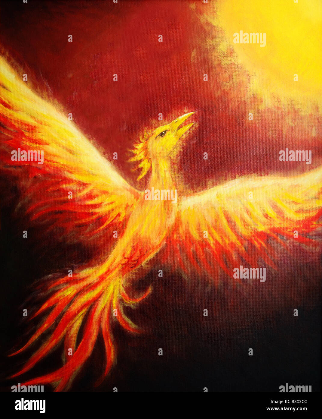 Phoenix bird Banque de photographies et d’images à haute résolution - Alamy