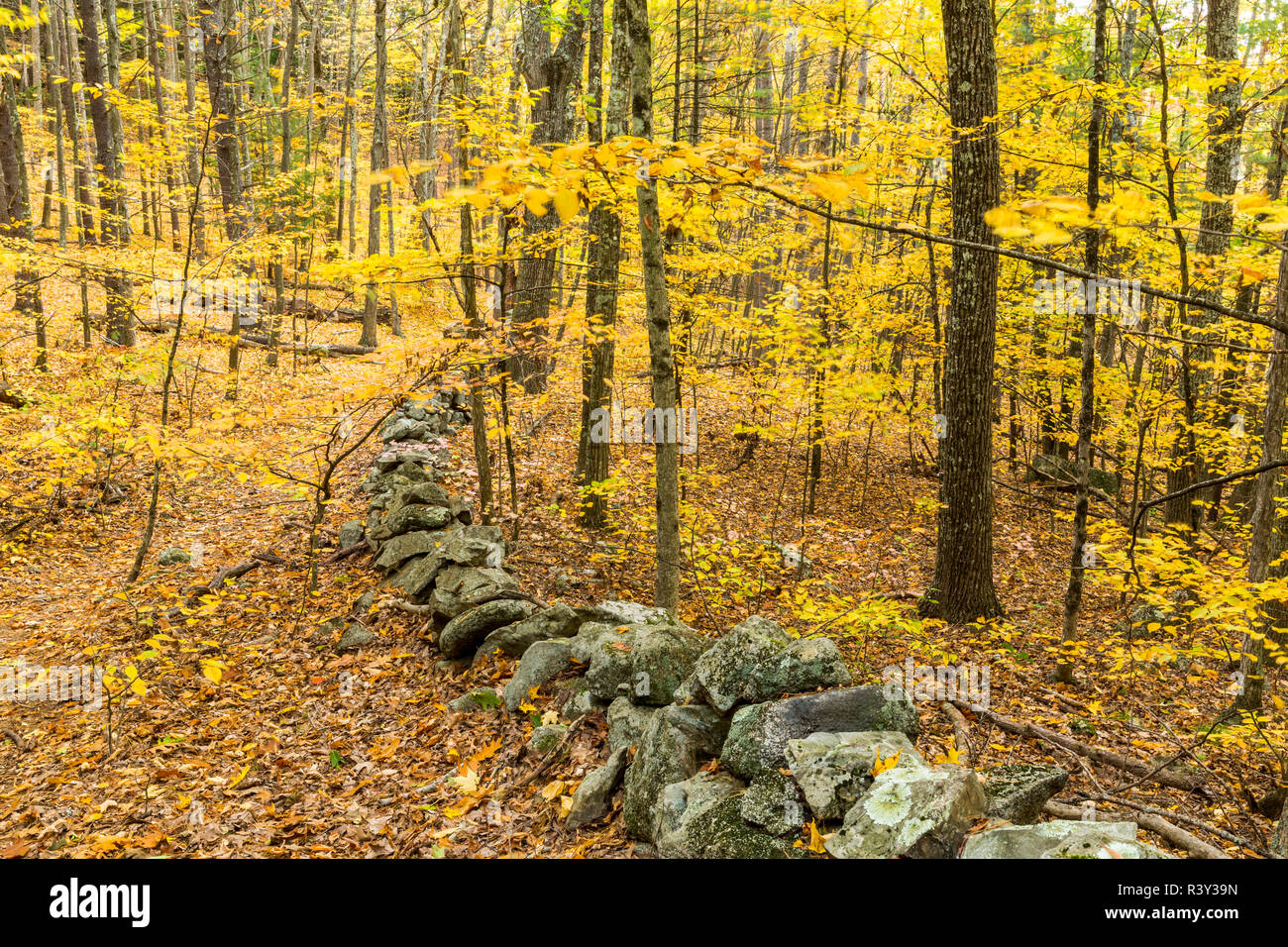 Ruisseau lubberland Banque de photographies et d’images à haute ...