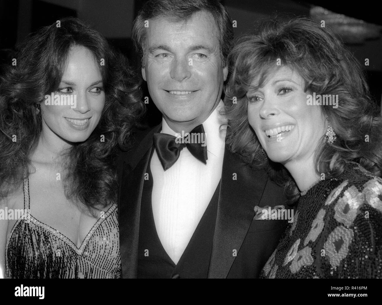 Actress catherine bach Banque d'images noir et blanc - Alamy