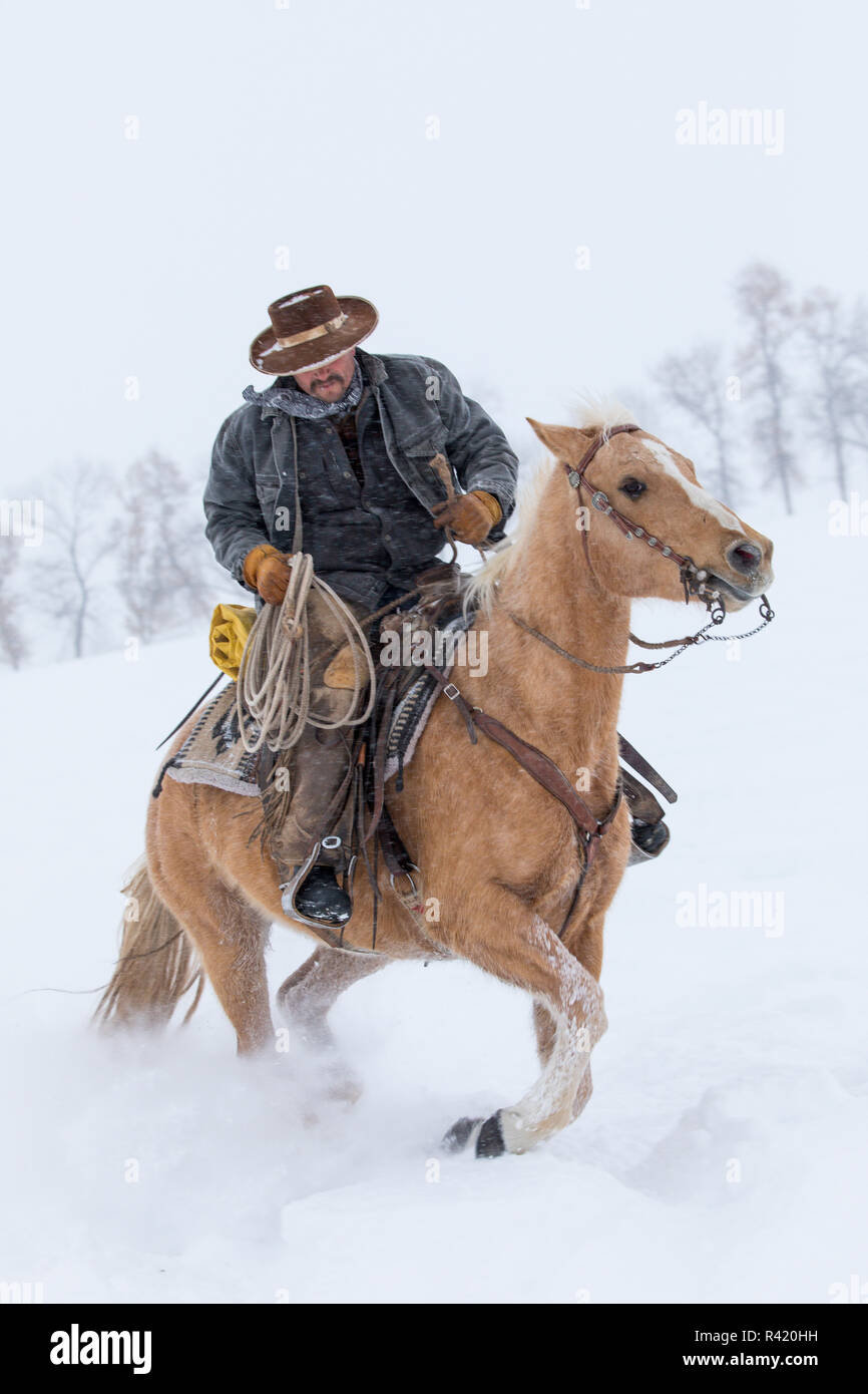 Circonscription de cow-boy sur son cheval en hiver, Hideout Ranch ...