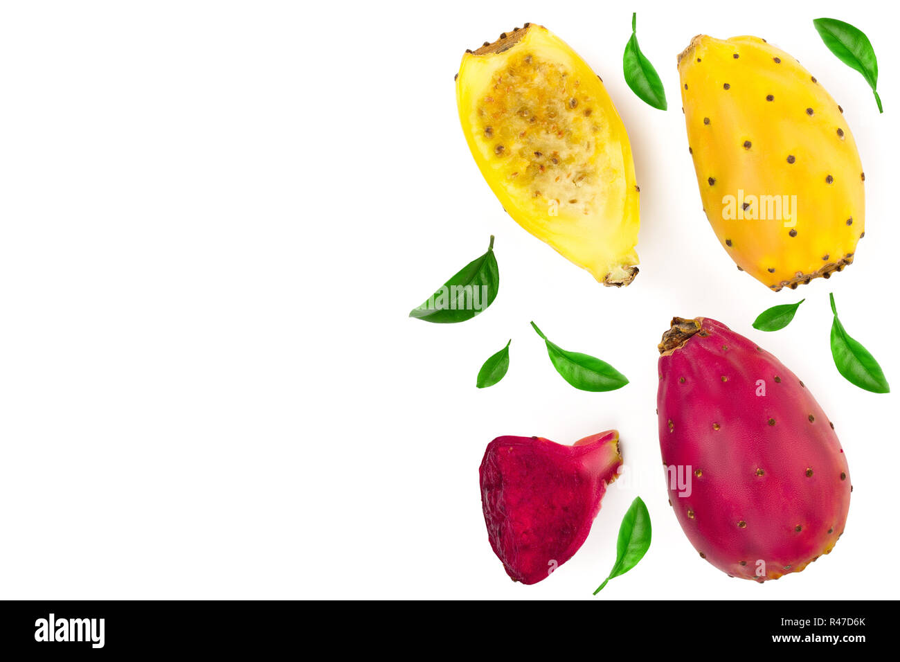 Fin rouge figuier de barbarie ou opuntia jaune isolé sur fond blanc ...