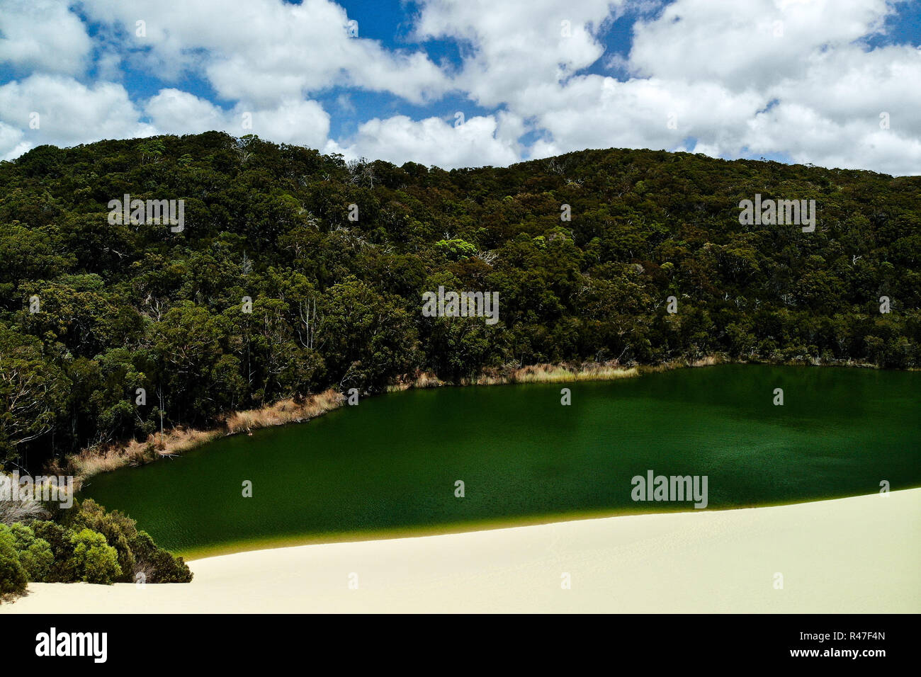 Fraser island queensland lake wabby Banque de photographies et d’images ...