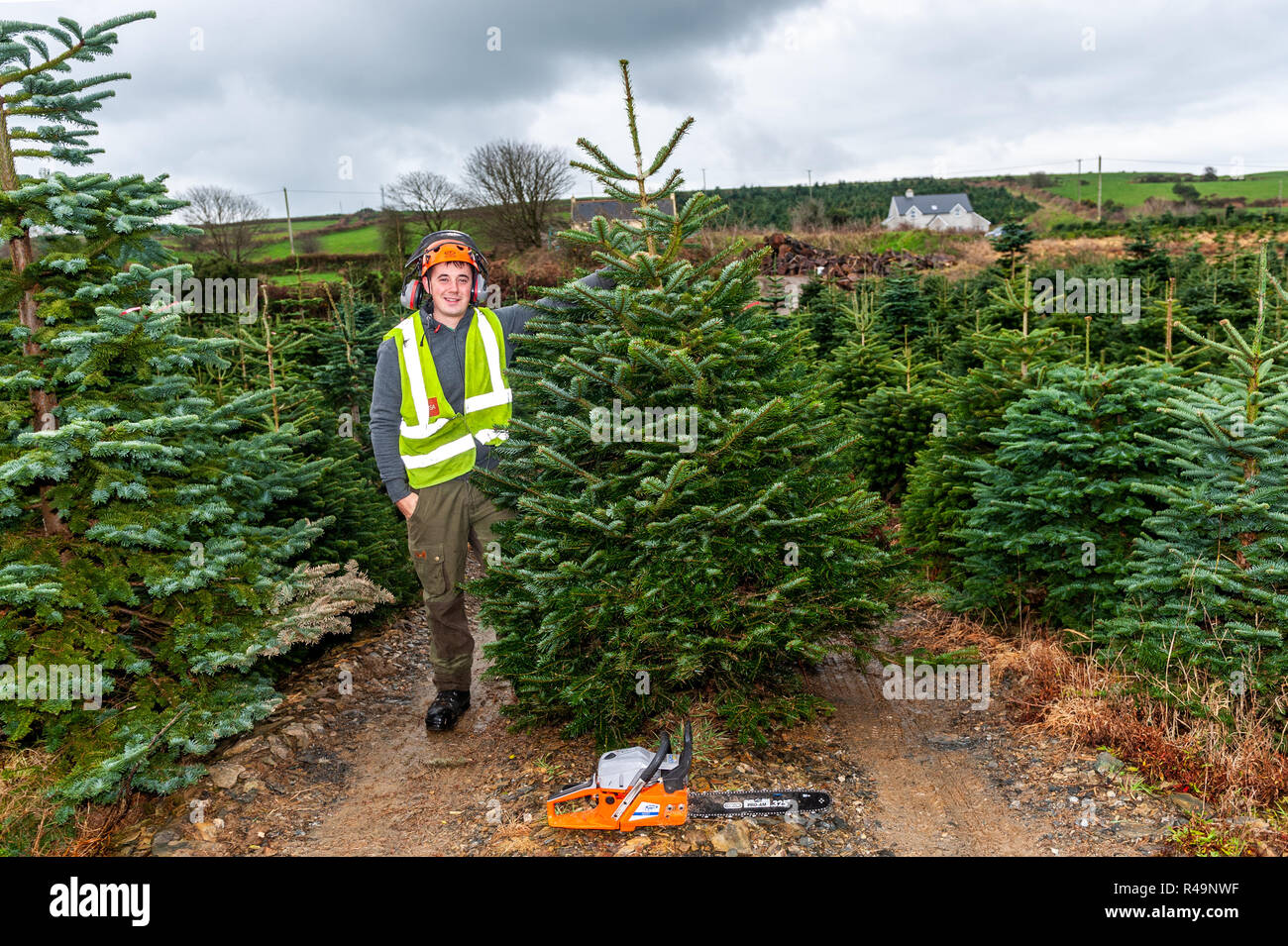 Ger osullivan Banque de photographies et d’images à haute résolution ...