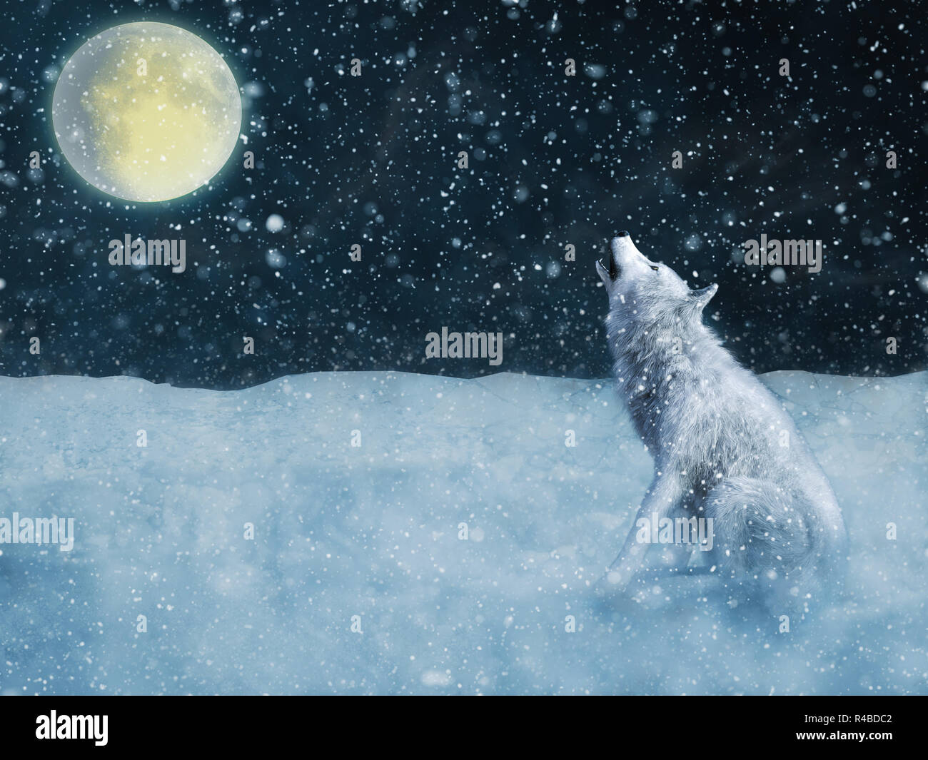 Le rendu 3D d'un majestueux loup blanc s'asseoir et à hurler à la lune ...