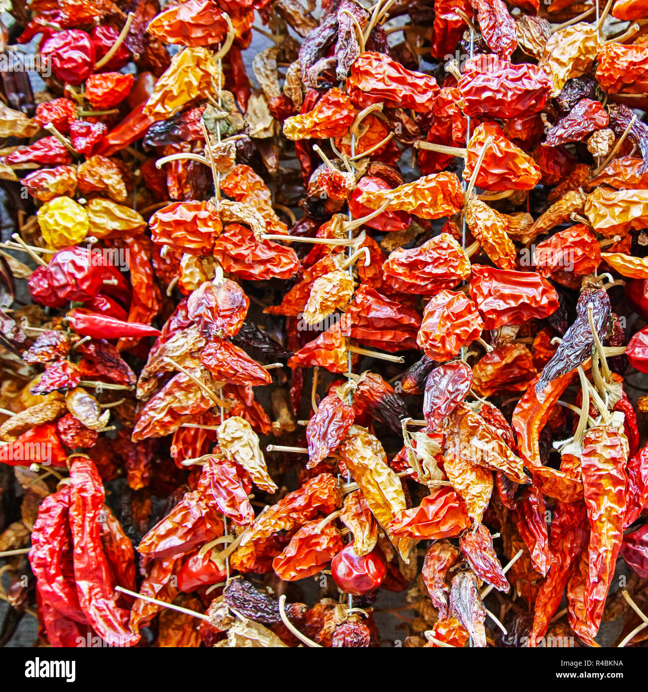 Piment sec Banque de photographies et d’images à haute résolution - Alamy
