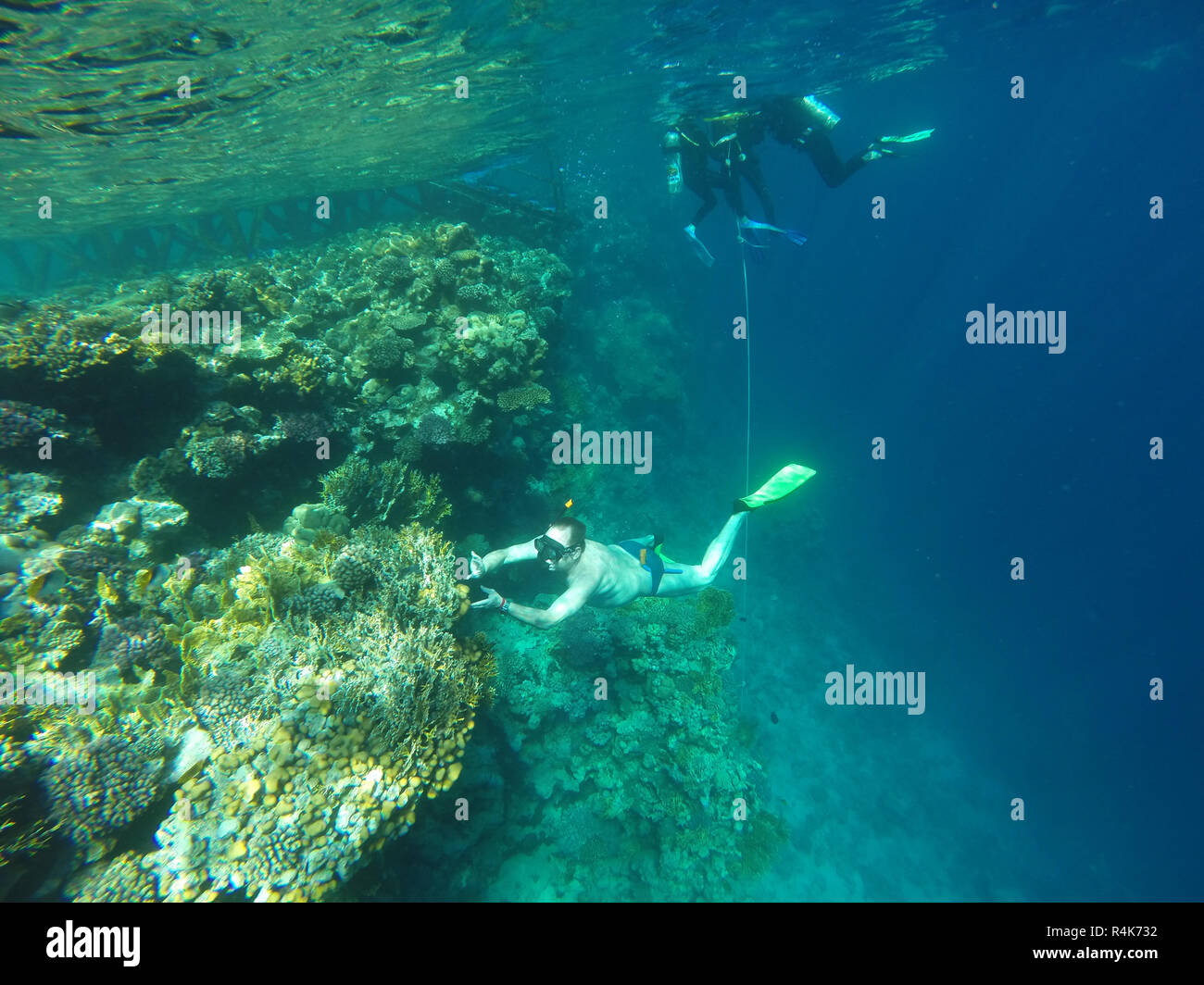 Plongee profonde plongeur Banque de photographies et d’images à haute ...