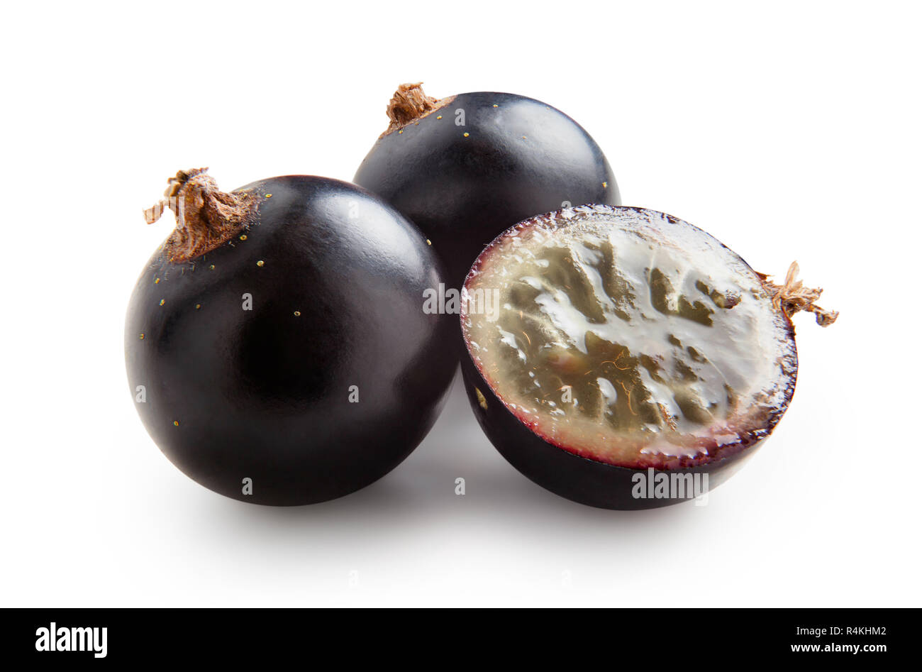 Cassis noir Banque de photographies et d’images à haute résolution - Alamy