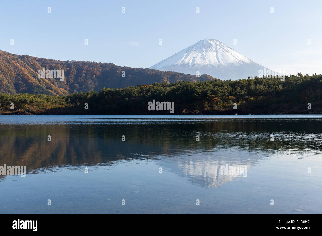 Le Mont Fuji et le lac saiko Photo Stock - Alamy