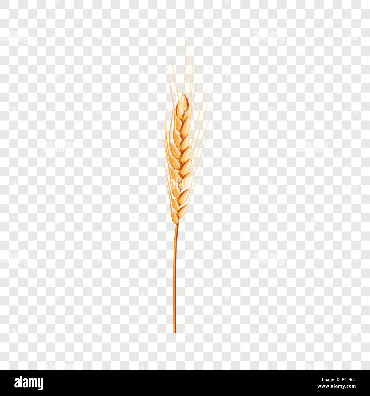 L'icône de blé naturel. Illustration réaliste de blé naturel pour l ...