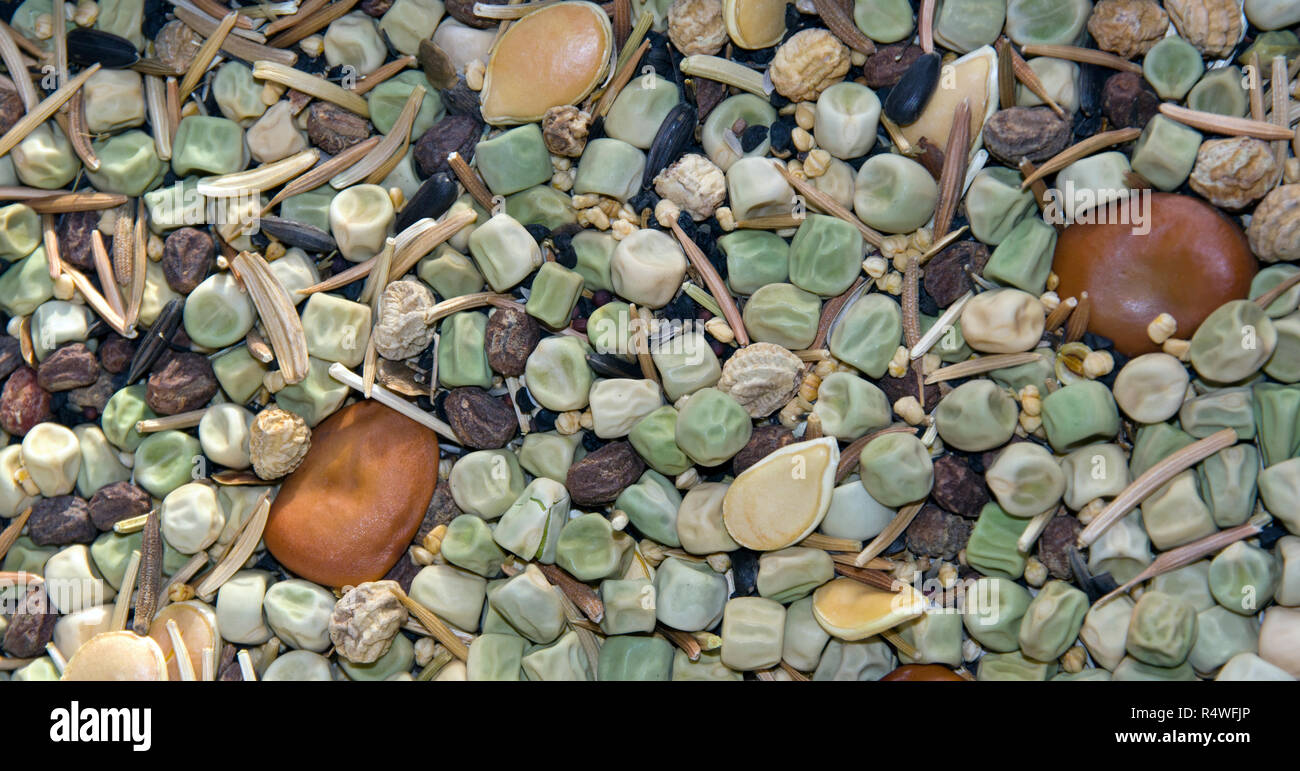 Graines de fleurs et de légumes Banque de photographies et d’images à ...