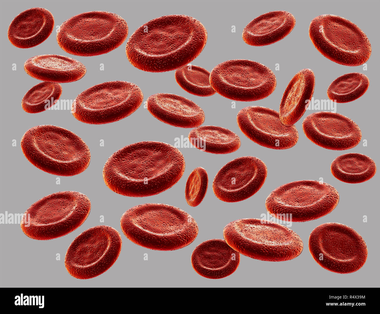 Human erythrocytes Banque de photographies et d’images à haute ...