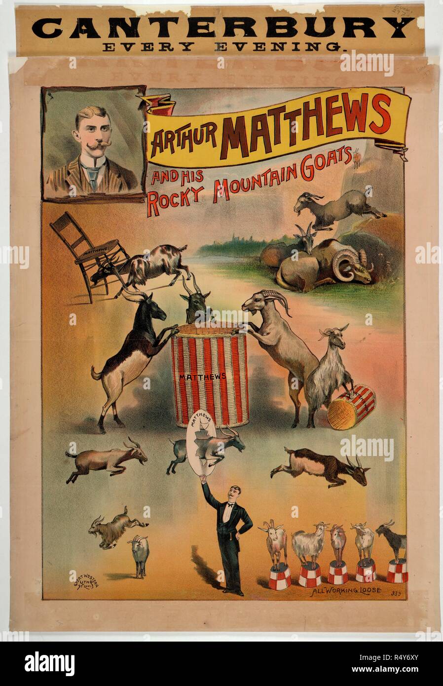 Arthur Matthews et sa chèvre de montagne. Théâtre de Canterbury ...