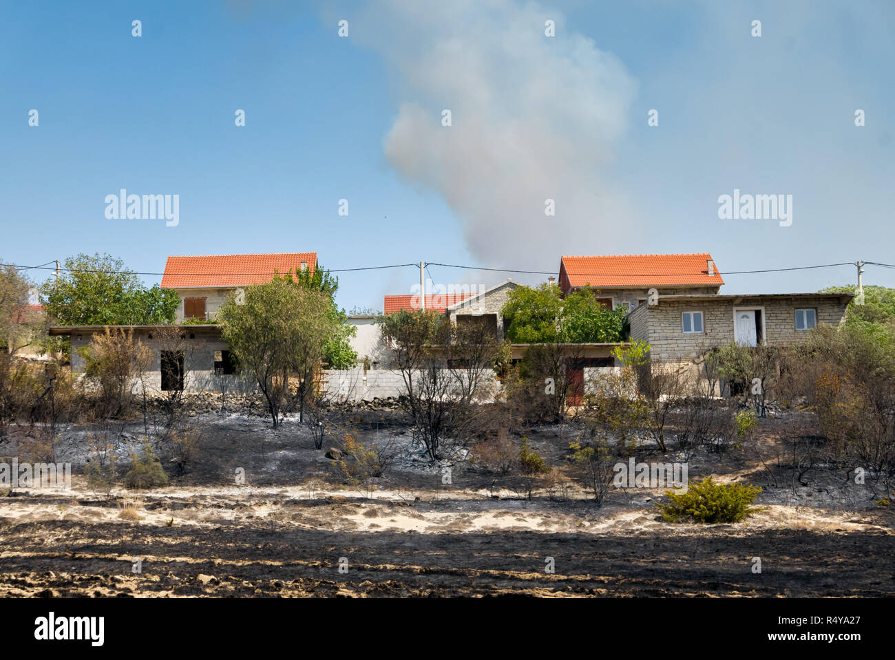 Terre dévastée Banque de photographies et d’images à haute résolution ...