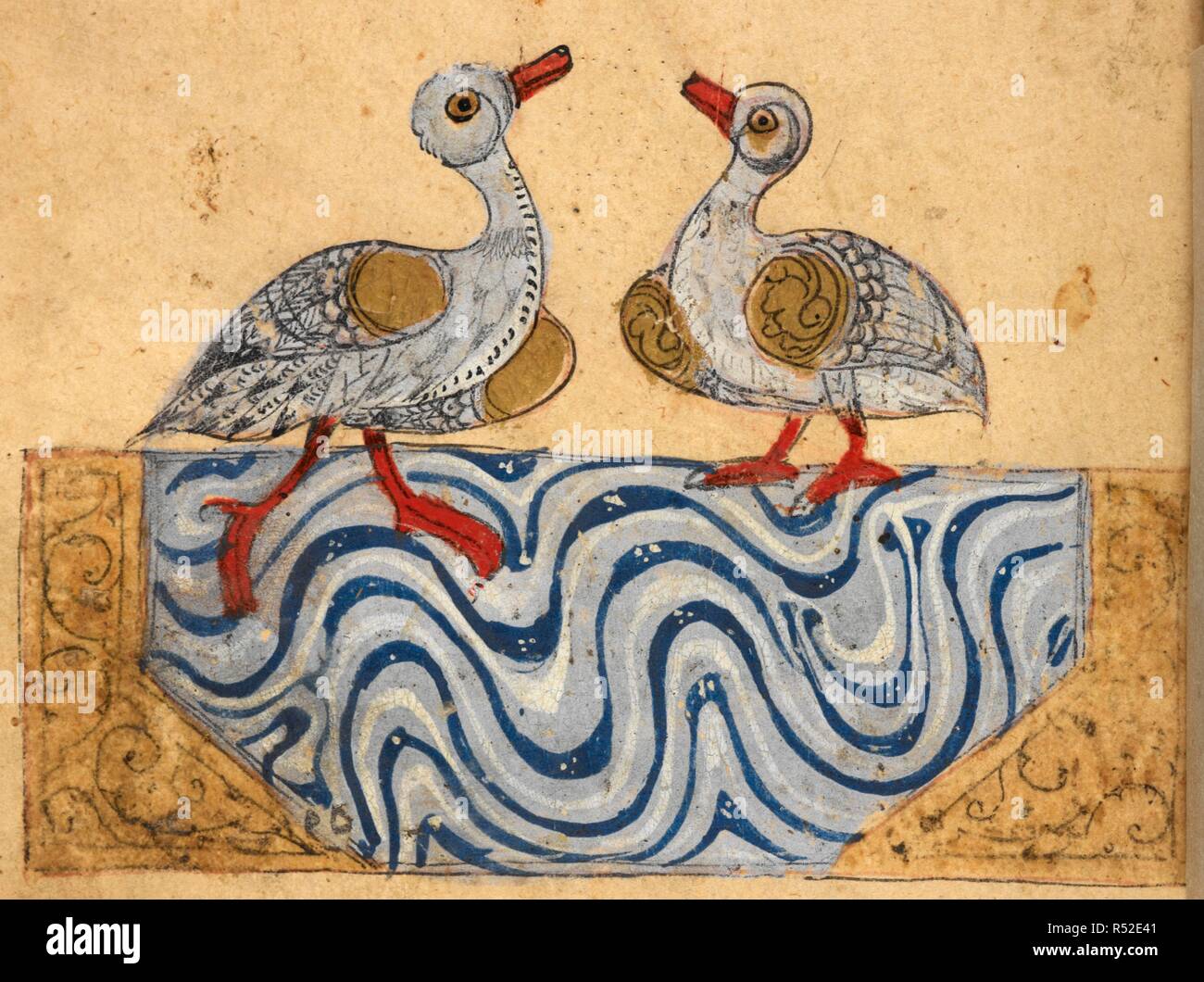 L'oie et le canard. Kitab Na't al-hayawan (livre des caractéristiques d ...