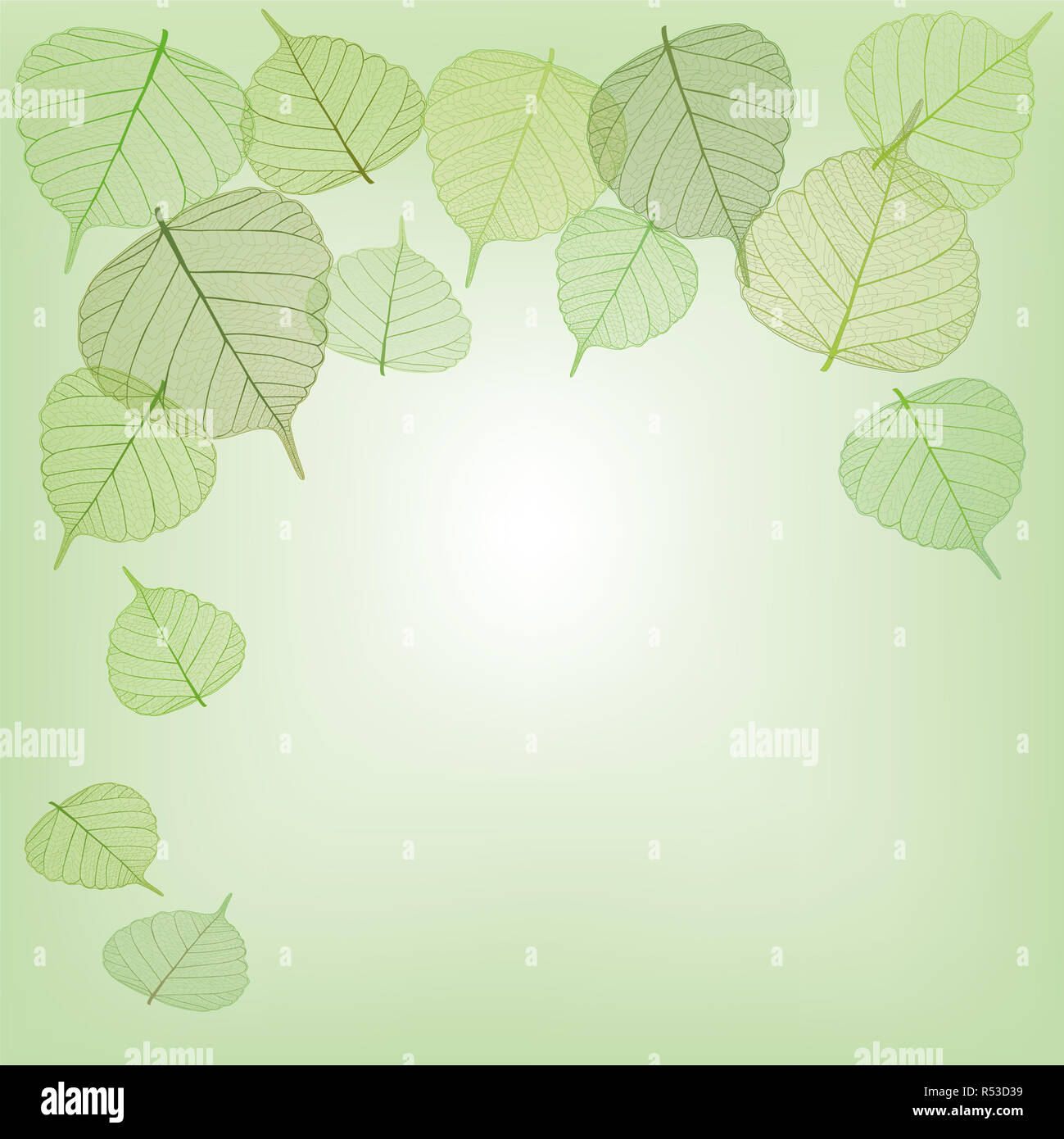 Feuilles vertes en filigrane Photo Stock - Alamy