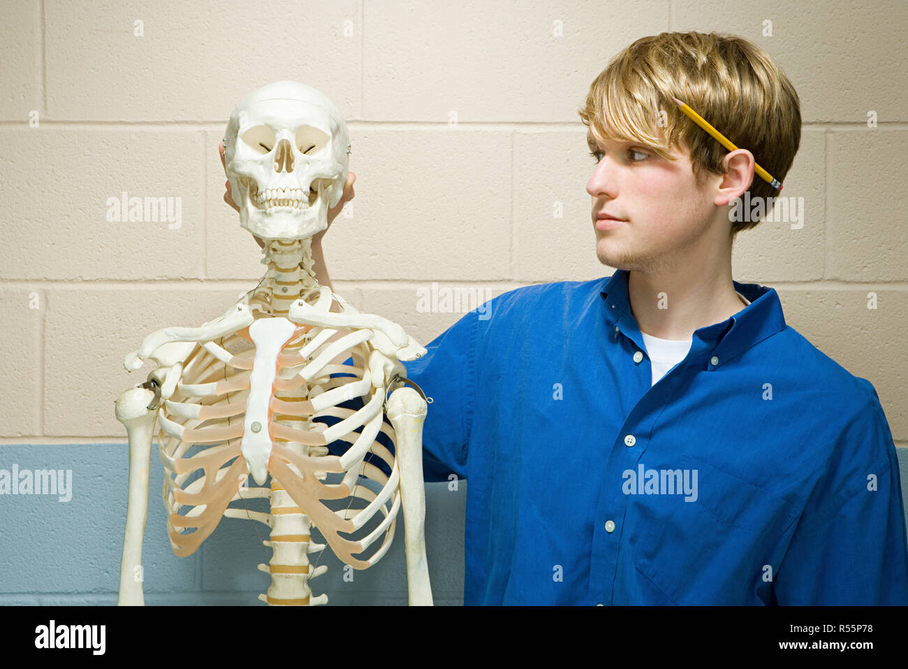 Anatomie Masculine Chez Les Adolescentes Banque De Photographies Et D