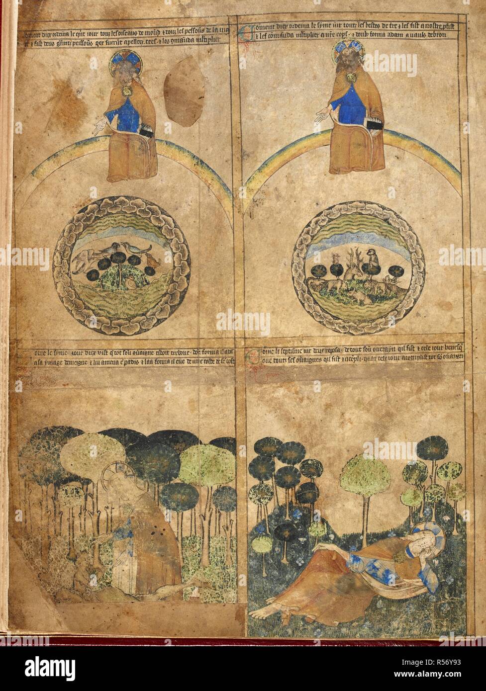 Adam se repose Banque de photographies et d’images à haute résolution ...