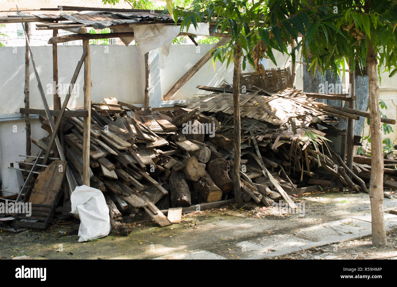 Pile de bois de chauffage grand arbre Banque de photographies et d’images à haute résolution - Alamy