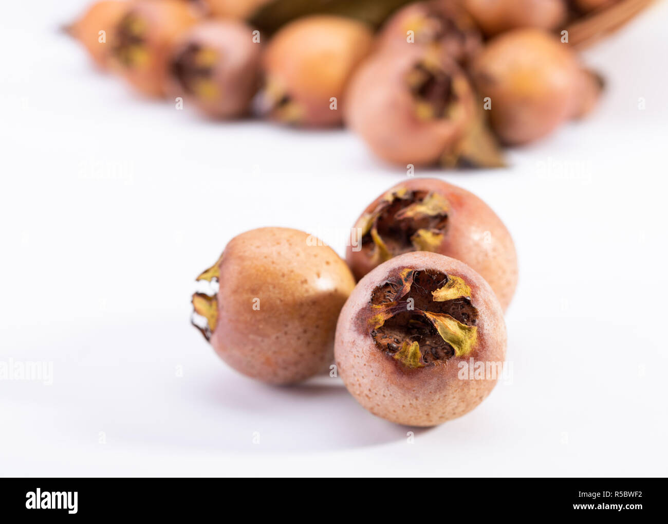 Common medlar fruits mespilus germanica Banque de photographies et d ...