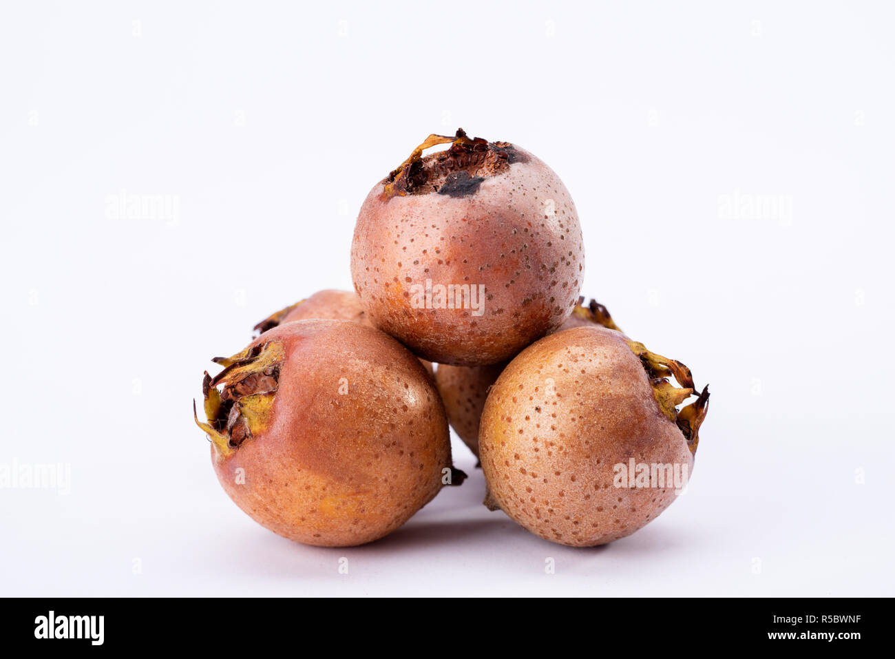 Common medlar fruits mespilus germanica Banque de photographies et d ...