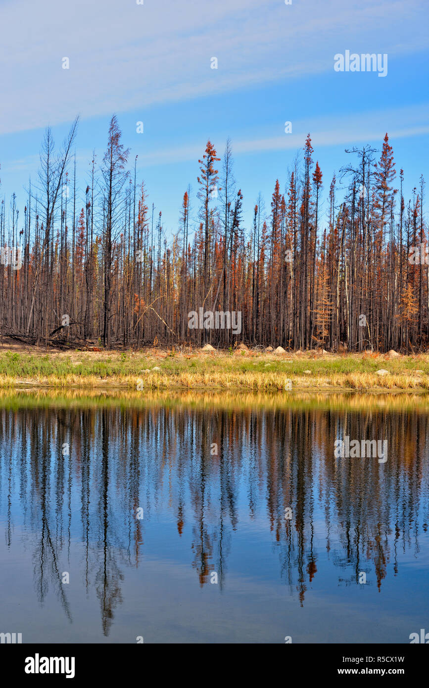 Bassin de feu Banque de photographies et d’images à haute résolution ...