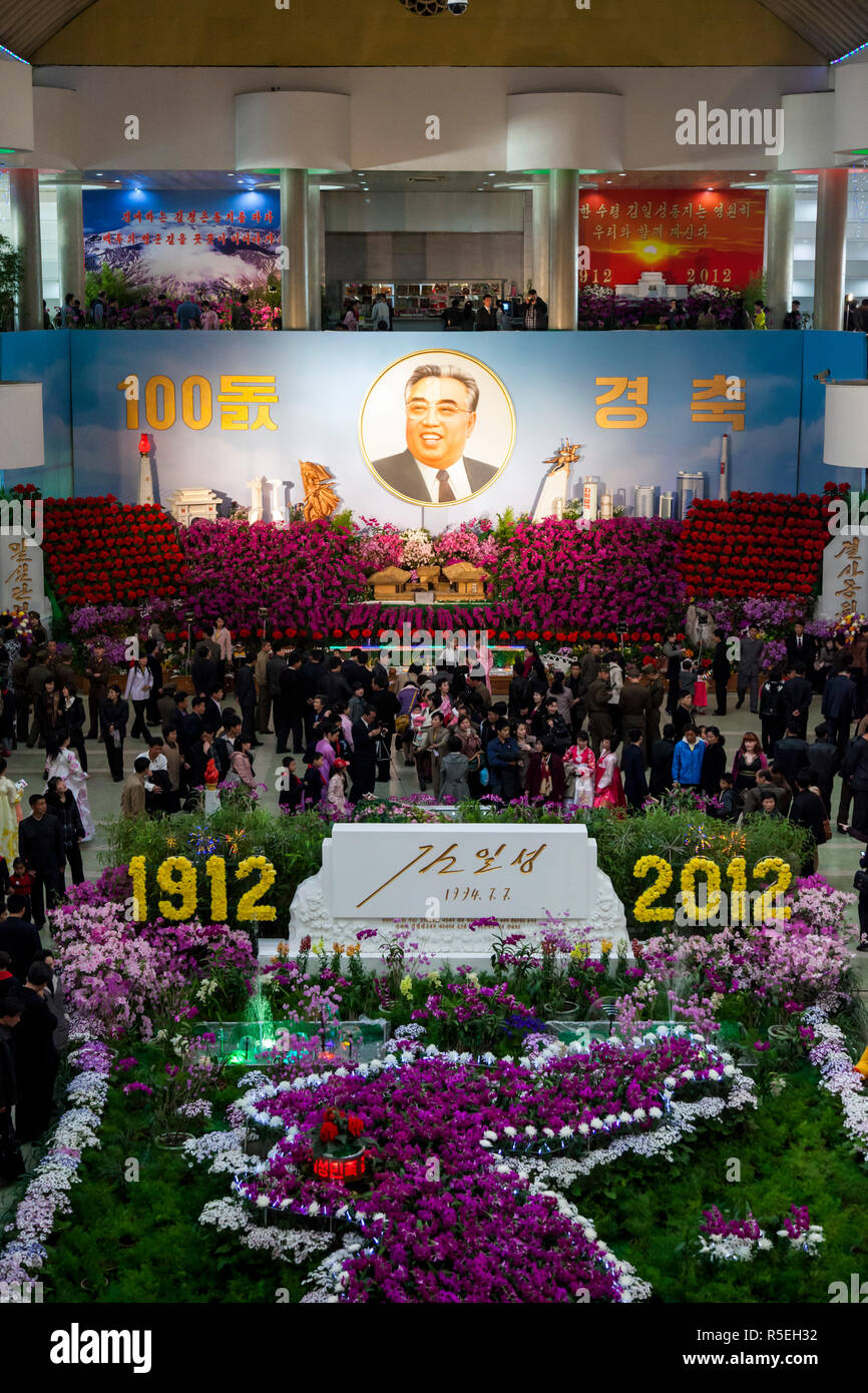 Kimilsungia Banque de photographies et d’images à haute résolution - Alamy