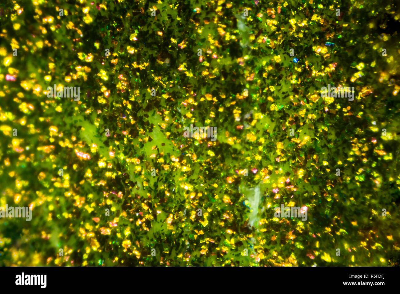 Plastique sous microscope Banque de photographies et d’images à haute ...