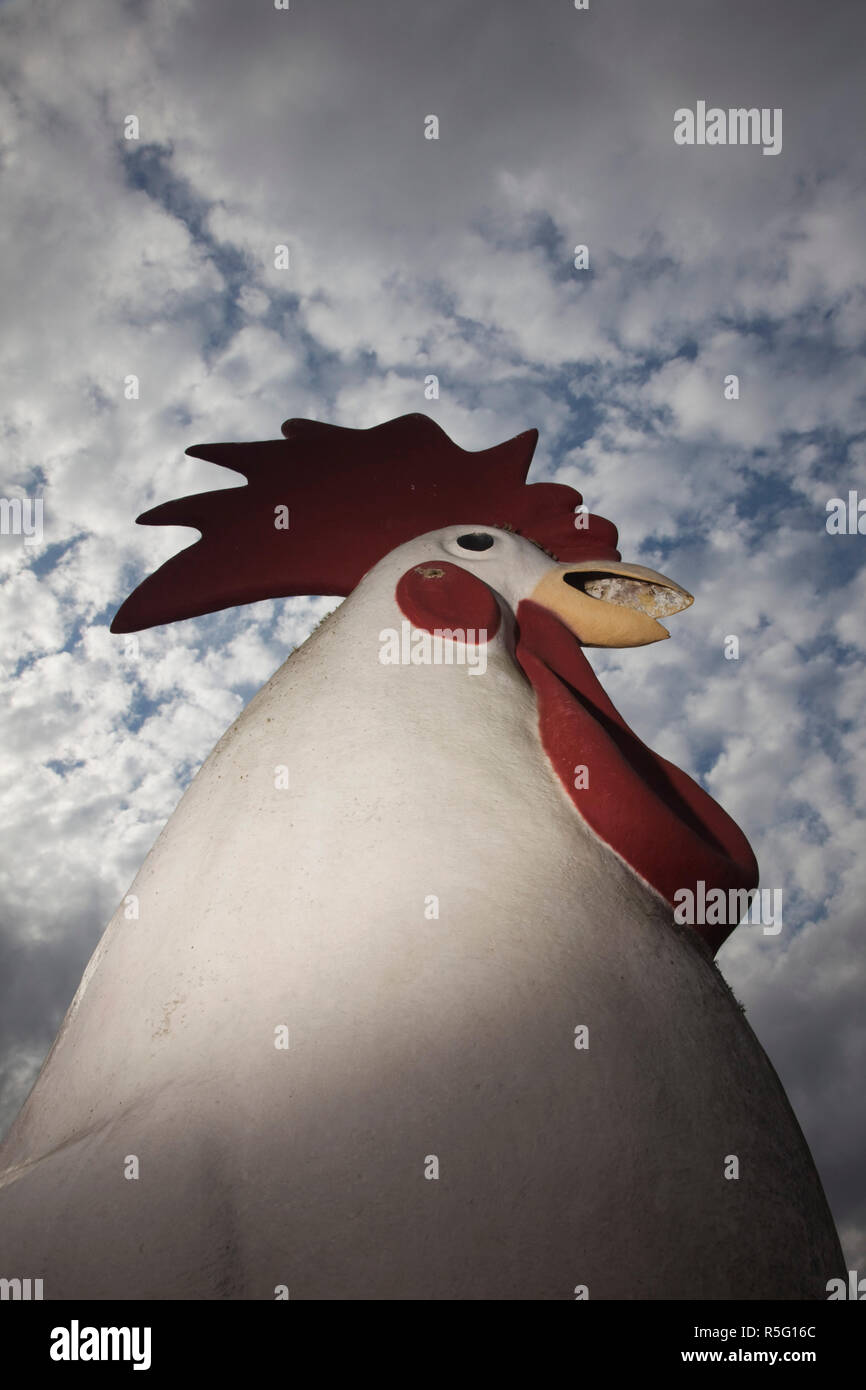 Giant rooster Banque de photographies et d’images à haute résolution ...